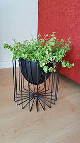 Plantenbak - Draadmand - Zwart | Stoer & Krachtig Wonen